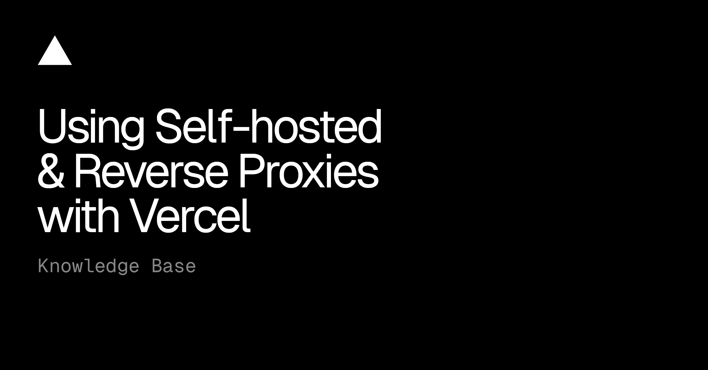 Using Self-hosted & Reverse Proxies with Vercel | Vercel Knowledge Base